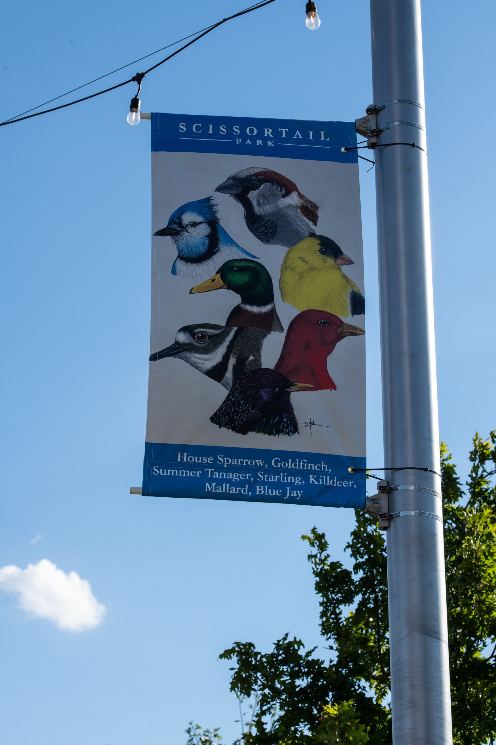 New Artwork at the Park! – Scissortail Park