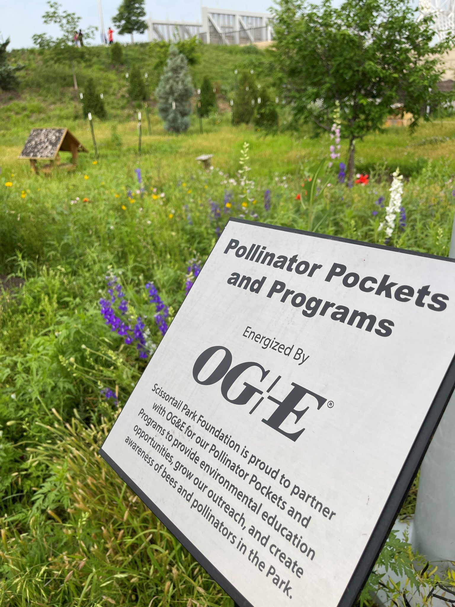 Pollinator Pockets & Programs Energized by OG&E – Scissortail Park